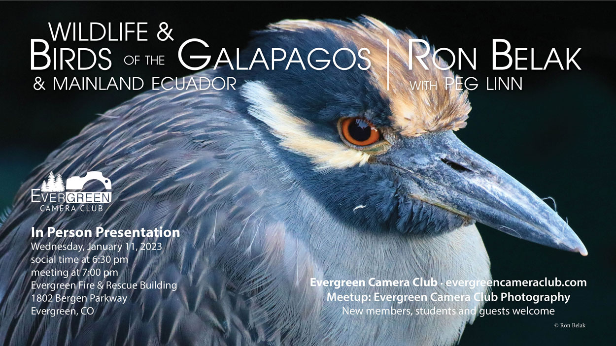 January 11th 2023 General Meeting: Wildlife and Birds of the Galapagos ...