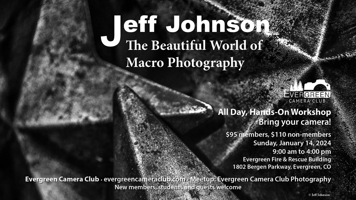 January 2024 Workshop: The Beautiful World of Macro Photography with ...