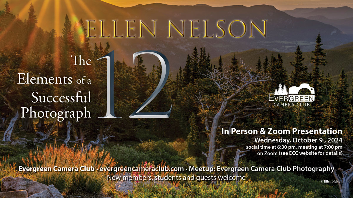 October 9th 2024 General Meeting: The 12 Elements of a Successful Image ...